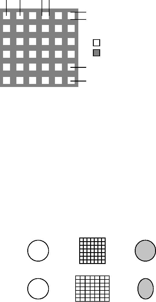 ZeePedia